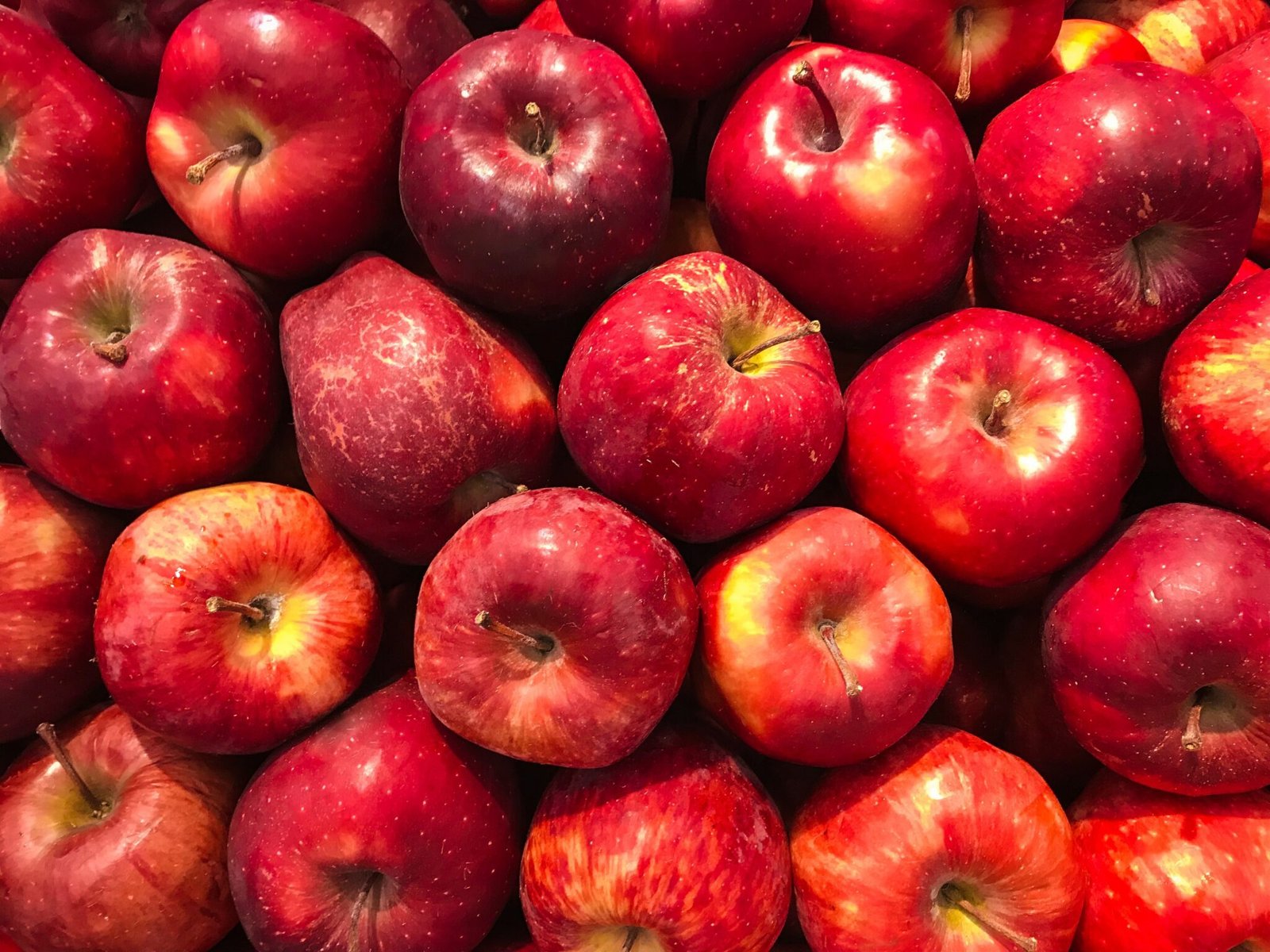 10 of the best sweet apple varieties to grow in your garden - greenbayt